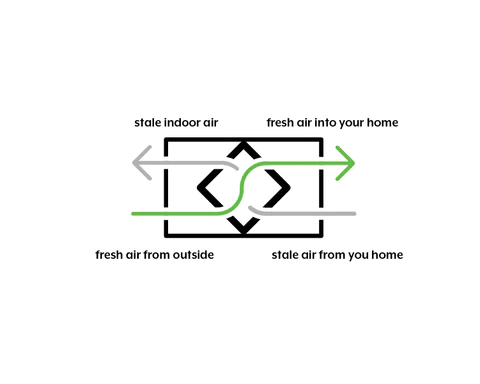 An Introduction to ERVs